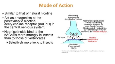 Neonicotinoids