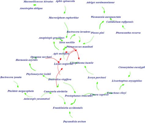symmetric insect interdependence in spread effects each node