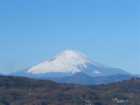 白妙の美しさ