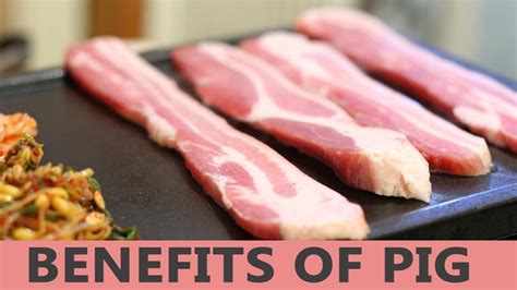 Top 5 Health Benefits Of Pork High Protein Foods Pork Chops Hot Sex