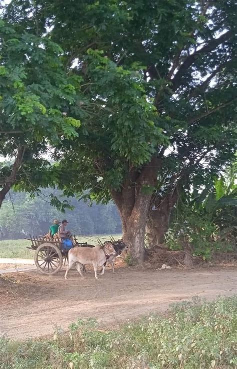 Pin von lupyogyi 007 auf Landscape ရခင