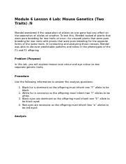 Exploring Genetic Traits In Mice Module 6 Lesson 4 Lab Course Hero