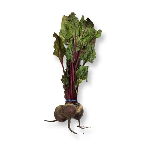 Beetroot Bunched Fine Fruits