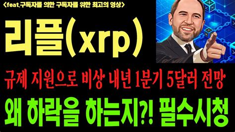 리플 리플코인 리플코인전망 Xrp Btc 코인전망 비트코인 이더리움 도지코인 Youtube