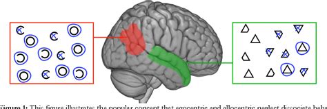 Figure 1 From Allocentric Neglect Strongly Associated With Egocentric