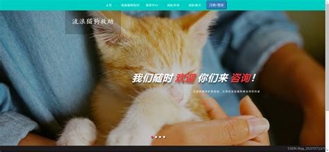 基于ssm的流浪猫狗救助系统（springmvc Spring Mybatis Mysql Jsp）1002流浪猫狗救助信息管理系统 Csdn博客