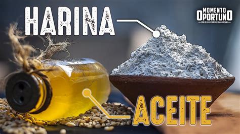 MomentoOportuno Elias Harina Y Aceite YouTube