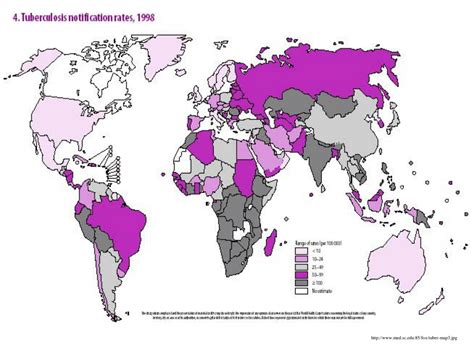 Solution Tuberculosis And Leprosy Studypool