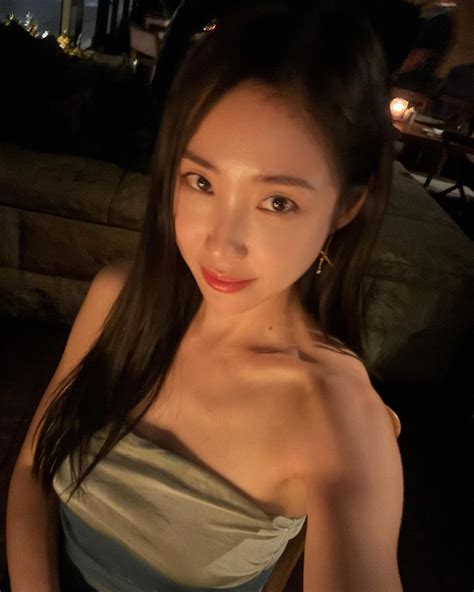 최희 우아한 드레스 자태고혹미 넘치는 저녁 시간