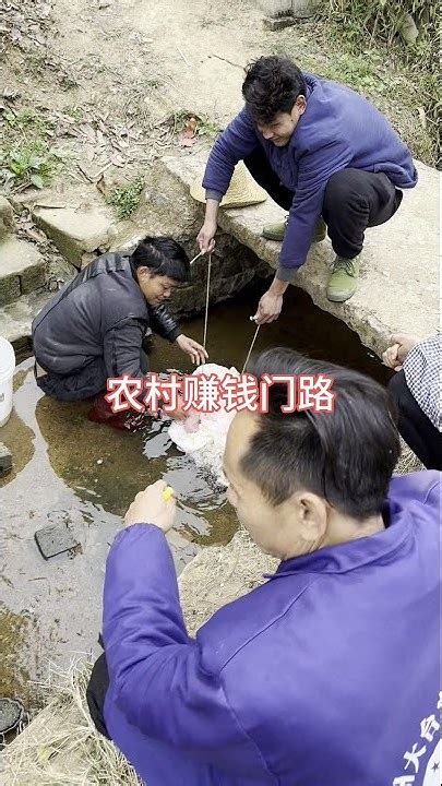 农村赚钱门路 我带你了解一下普通人在农村做什么可以月入过万！记录我的农村生活 三农 乡村新农人 振兴乡村 抖音新农人班长啊泽