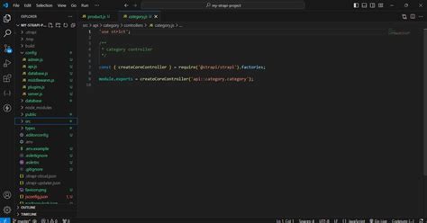 Faiqa Asghar On Linkedin Strapi Headlesscms Api Webdevelopment Learningjourney