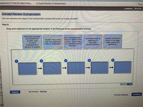 Eutrophication Flow Chart