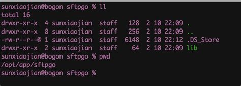 There Is A Problem With Docker Deployment · Issue 1186 · Drakkan