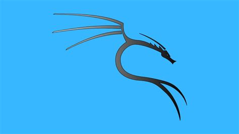 How To Update Upgrade Kali Linux Fast And Easy Steps Youtube