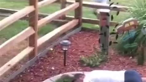 Hilarious Golf Prank Will Make You Piss Your Pants