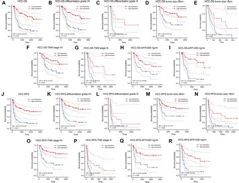 Frontiers Klf4 Loss In Hepatocellular Carcinoma Improving Prognostic