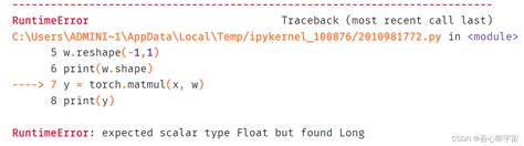 关于运行torchmatmul（x，w）函数报错的问题 Runtimeerror Expected Scalar Type Float