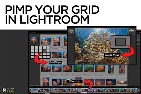 Pimp Your Grid In Lightroom Go Ask Erin