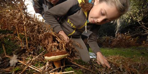 Partnerships Girlguiding Laser