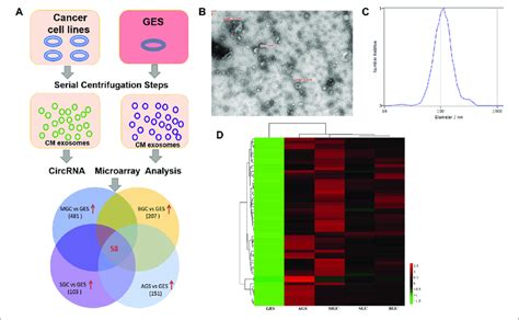 Screening Of Cancer Specific Exosomal Circrnas Through Circrna