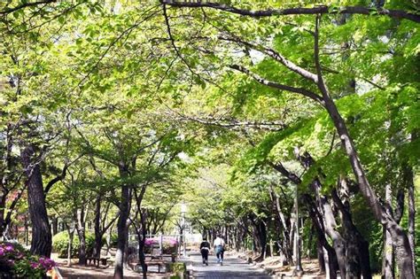K 시흥시 도심 속 싱그러운 쉼터 ‘비둘기 공원 걸어 볼까