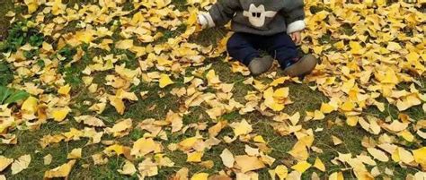 C 在winform程序中通过三种方式创建xml文件 知乎