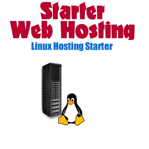 Basic Hosting Per Year Computer Sales And Solution
