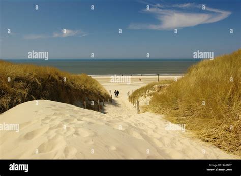 Dune Landscape With A View Of The North Sea North Holland Stock Photo Alamy