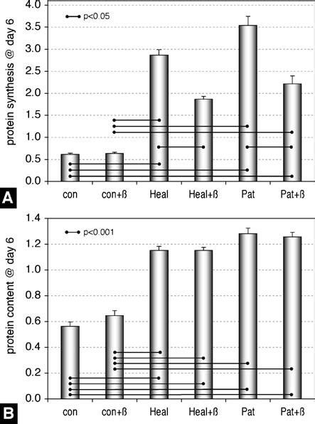 A Total 3 H Phenylalanine Incorporation Protein Synthesis Of