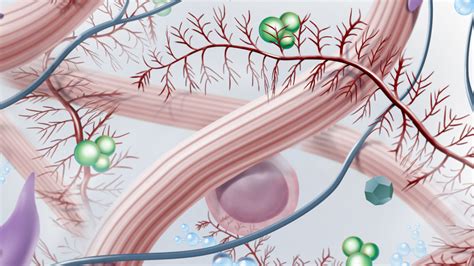 Extracellular Matrix Ecm Patches Market Is Set To Fly High In Years