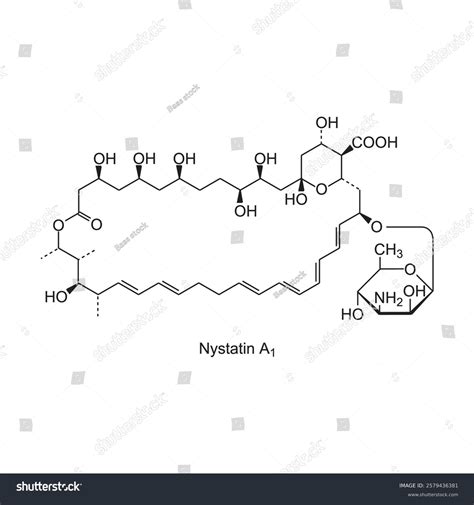 Nystatin A1 Skeletal Structurepolyene Antibiotic Compound Stock Vector Royalty Free 2579436381
