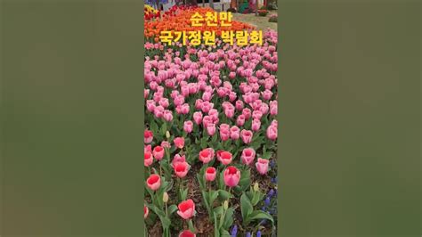 송가인 어머님사랑합니다 Youtube