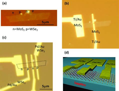 Device Fabrication Of Two Dimensional Lateral Quasi Heterojunction