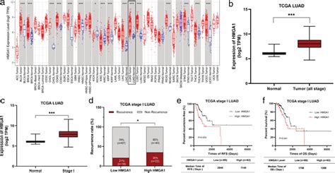 Hmga1 Expression Level Was Associated With Recurrence And Poor