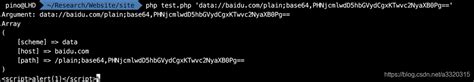 【ssrf】如何绕过filter var preg match 和 parse url csdn博客