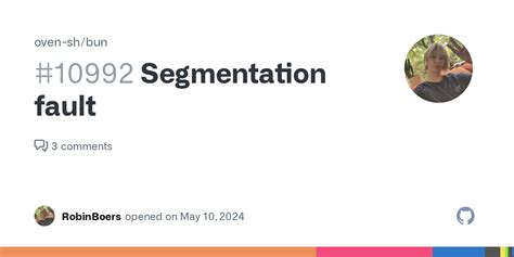Segmentation Fault Issue 10992 Oven Sh Bun GitHub