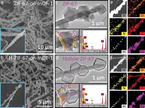 A B Sem Images C D Tem Images Line‐scan Profiles And Eds Spectra