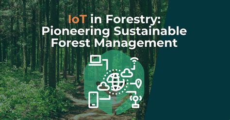 Iot In Forestry Pioneering Sustainable Forest Management Dryad