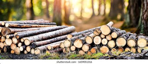 Log Images Stock Photos Vectors Shutterstock