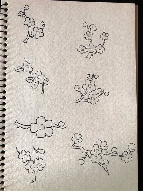 桃花简笔画 桃花简笔画带树枝 苗苗知道