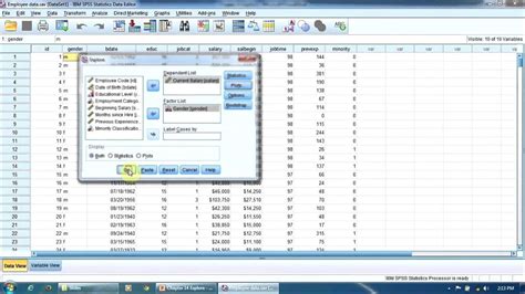 Lesson 14 The Explore Procedure In Spss Getting More Out Of The Data Youtube