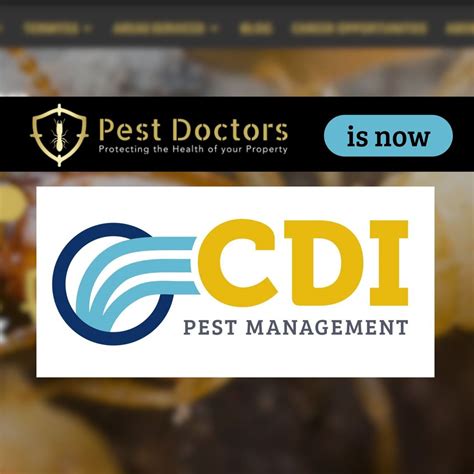 Cdi Pest Management On Linkedin Pestcontrol Brisbanepests