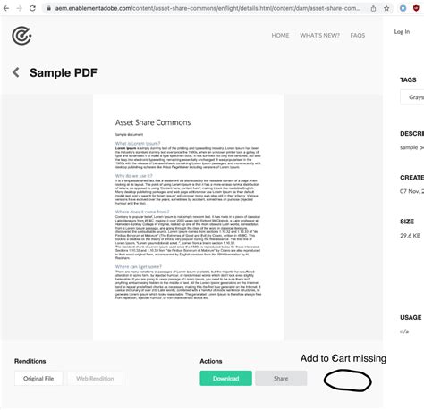 Different Asset Detail Page Displayed For The Same Asset On Author And