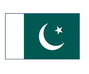 Nylon Flag Of Pakistan Buy The Pakistani Flag Martins Flag Company