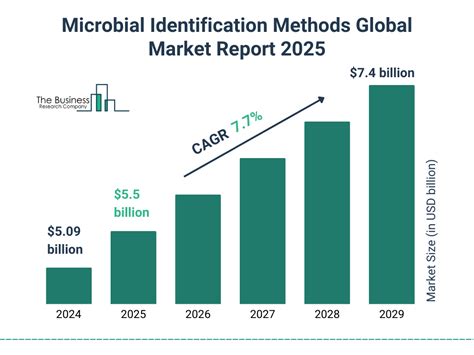 Microbial Identification Methods Market Report 2025 Forecast And