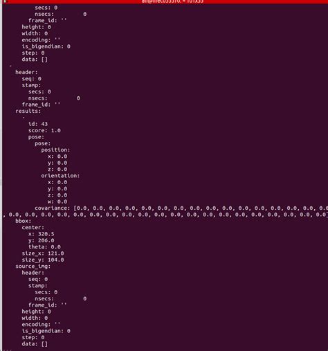 ROs1 Publish Bbox2D Vs ROS1 Camera Helper Isaac Sim NVIDIA