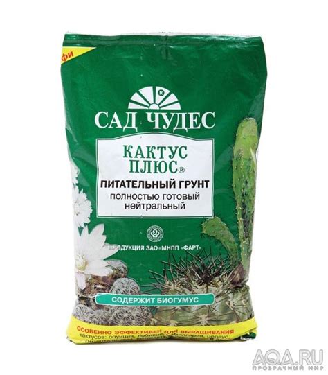 Какая земля нужна для Замиокулькаса: выбор почвы, покупка готового грунта