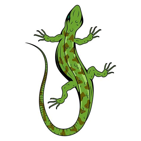 Premium Vector Lizard Vector Illustration Of A Small Reptile Gecko Logo