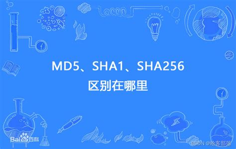 散列算法比较：md5、sha1、sha256有哪些区别 md5 sha1 sha256区别 csdn博客