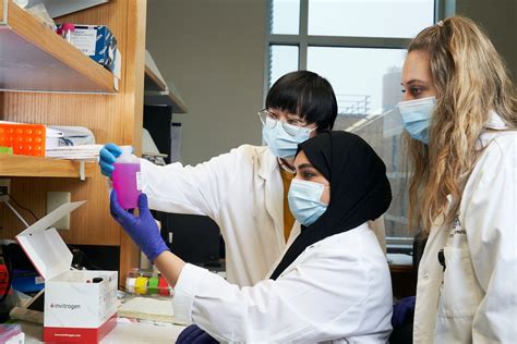 Faculty Recruitment Roswell Park Comprehensive Cancer Center